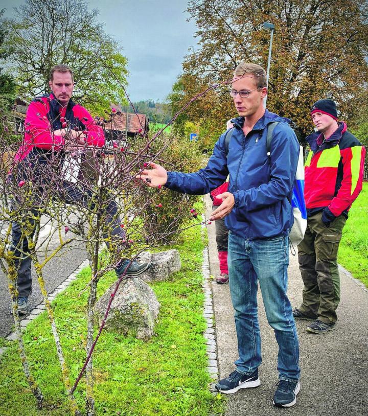 Für mehr Biodiversität im Siedlungsraum