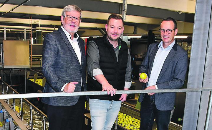 Was den Apfel mit dem Immobilienmarkt verbindet